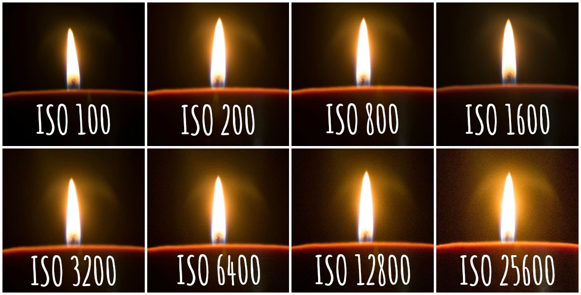 Photography 101 : What is ISO? | FD Photo Studio