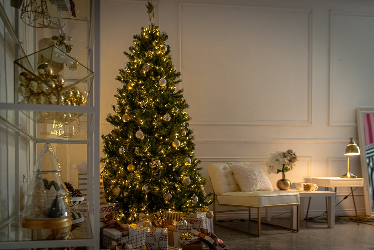 4 Christmas Setups at FD LA Locations! | FD Photo Studio