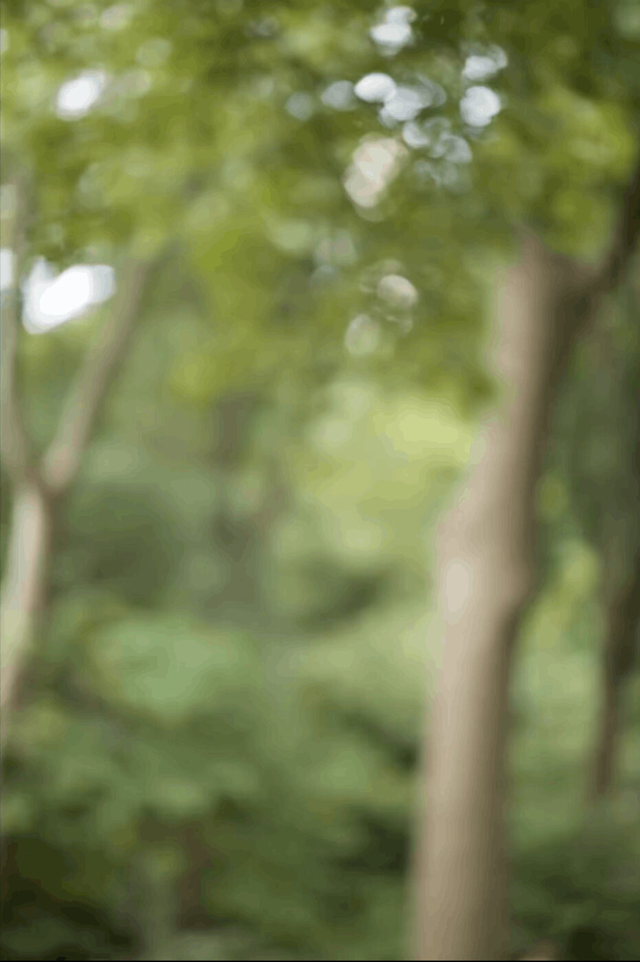 How To Shoot multi-shot technique "Brenizer Method" by David Bergman ...