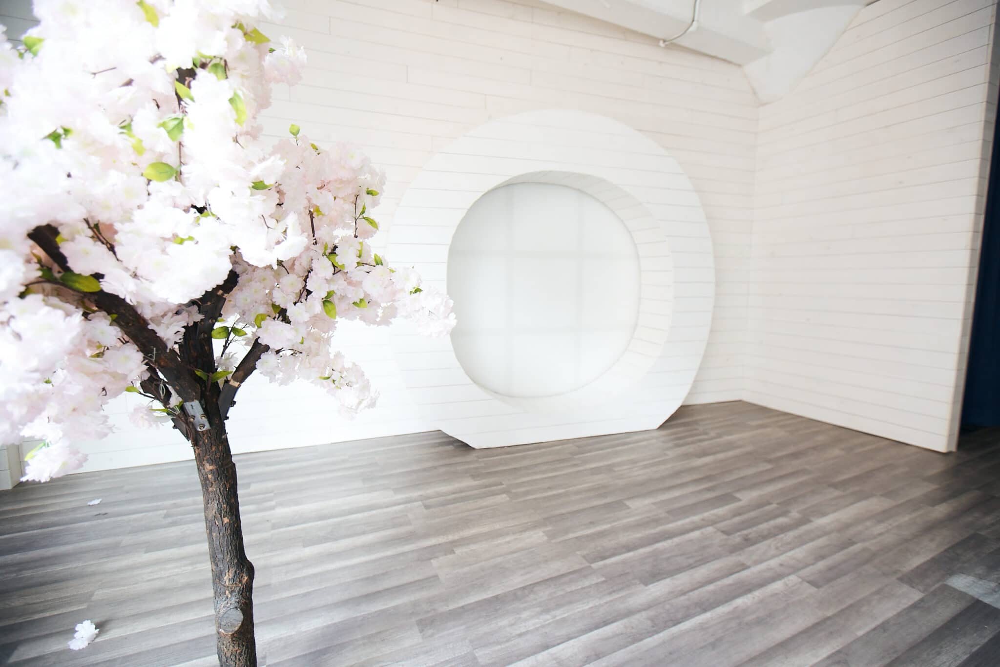 North Facing Photo Studio with Included Equipment | FD Photo Studio ...