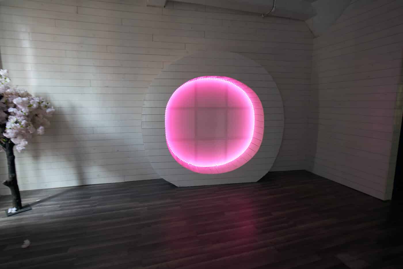 North Facing Photo Studio with Included Equipment | FD Photo Studio ...