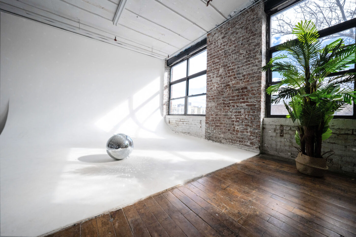 Natural Light Studio Photography: A Step-by-Step Guide | FD Photo Studio
