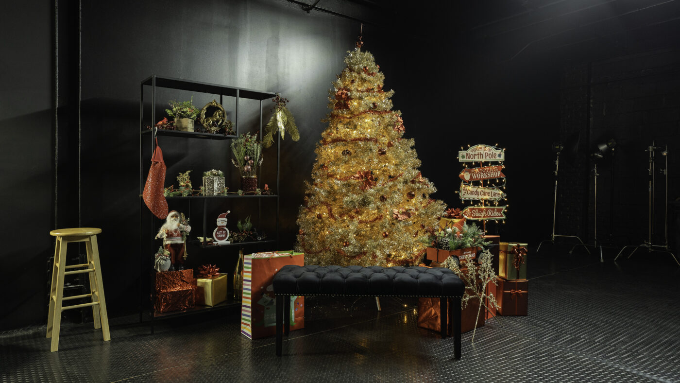 Discover the Best NY Photo Studios with Festive Christmas Decorations ...