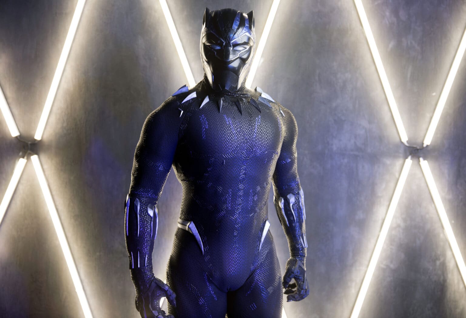 Black Panther by Neville C. Lewin | FD Photo Studio