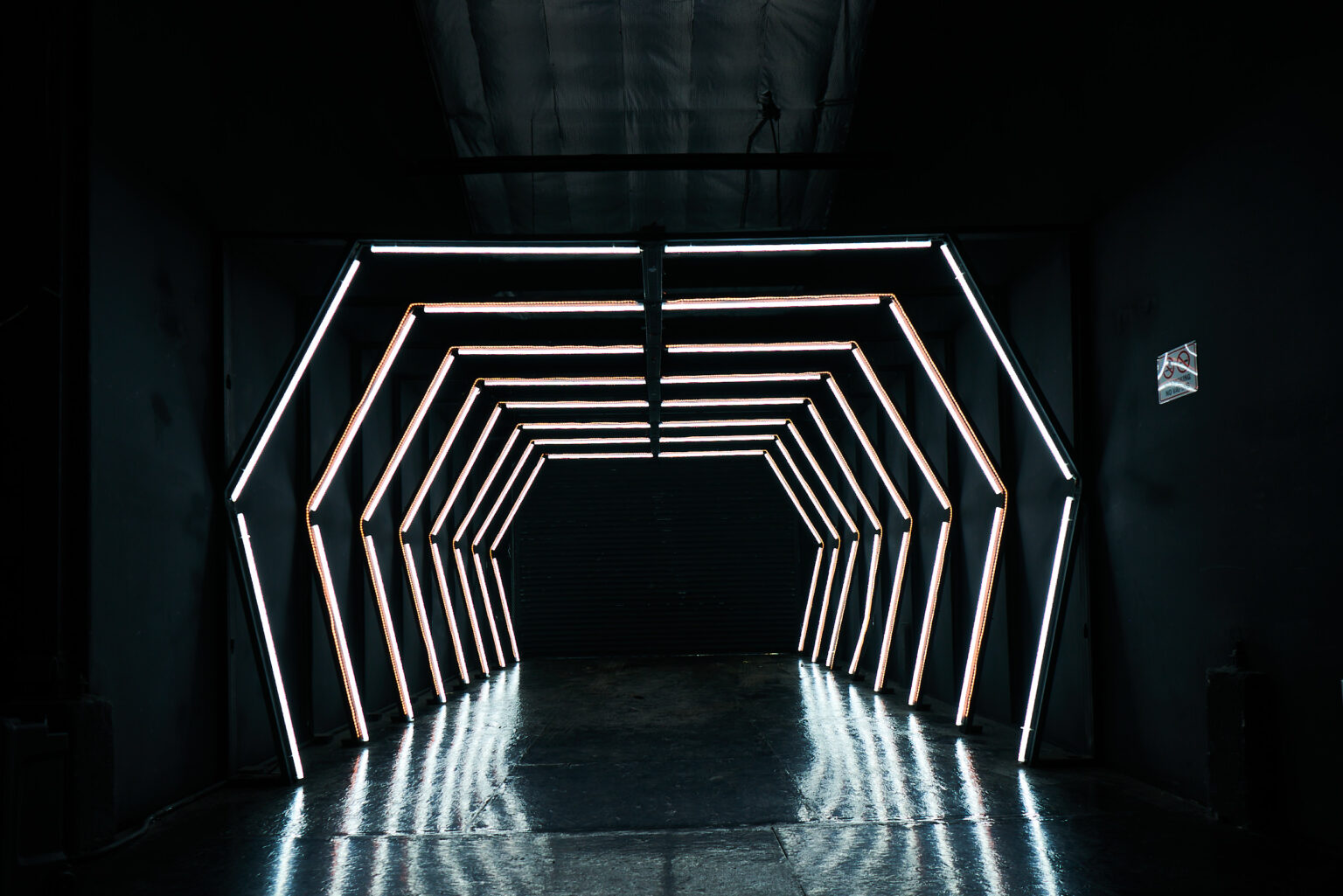 Hannah Hueston In Olympic 2 | FD Photo Studio