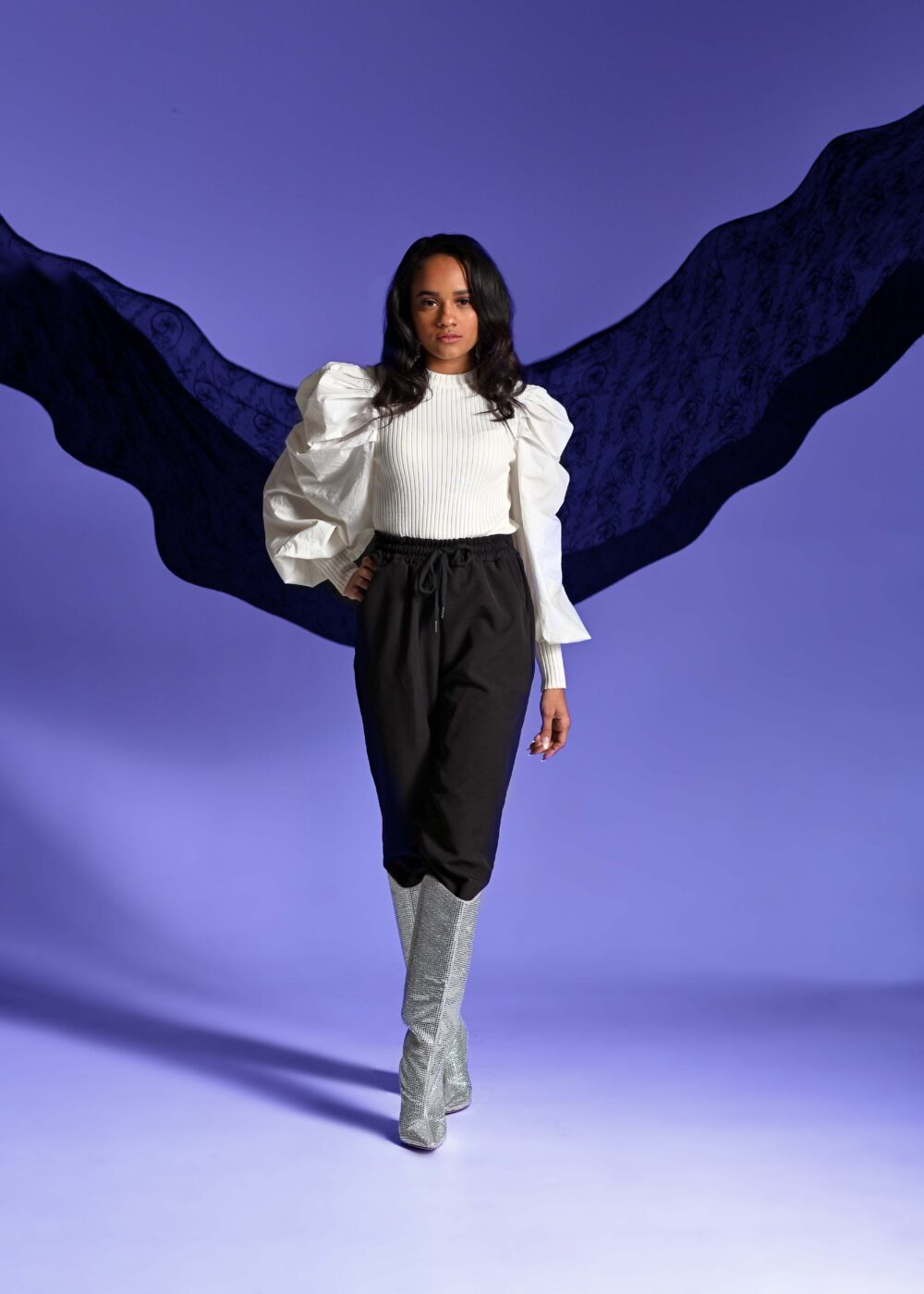 New York City Arts, Sports, & Entertainment Project In Astoria 8 | FD ...