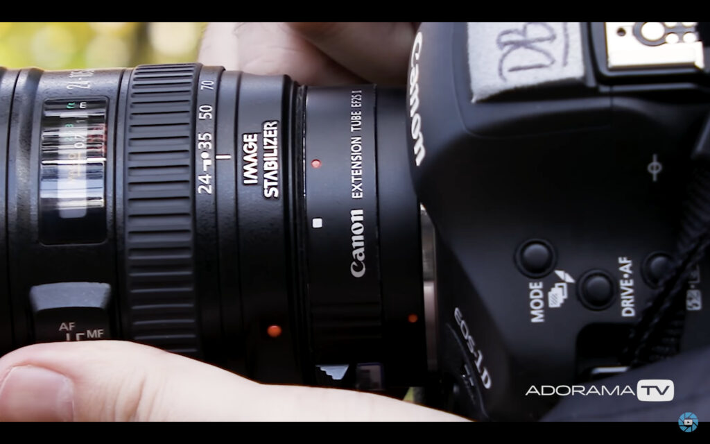 Become Better Photographer: Extension Tubes with David Bergman | FD ...