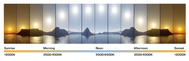 Natural Light Photography: A Practical Guide for Stunning Images | FD ...